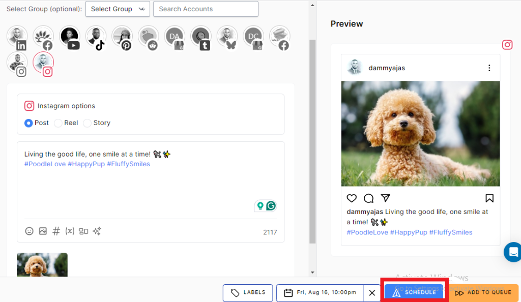 Instagram Stories vs. Posts: When and How to Schedule Each - OnlySocial