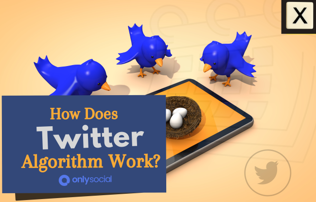 How Does the Twitter Algorithm Work + 10 Tips to Leverage It - OnlySocial